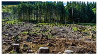 Degraded Soil Images.pptx