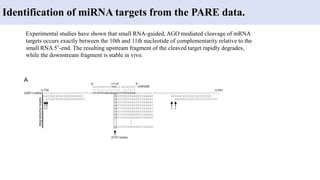 Degradome sequencing and small rna targets | PPTX