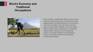 De Guzman, Patrick B. Bicol Region.pptx
