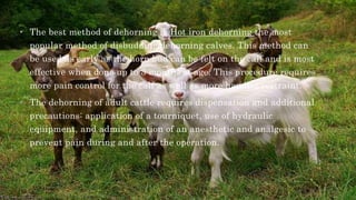 DEHORNING.pptx