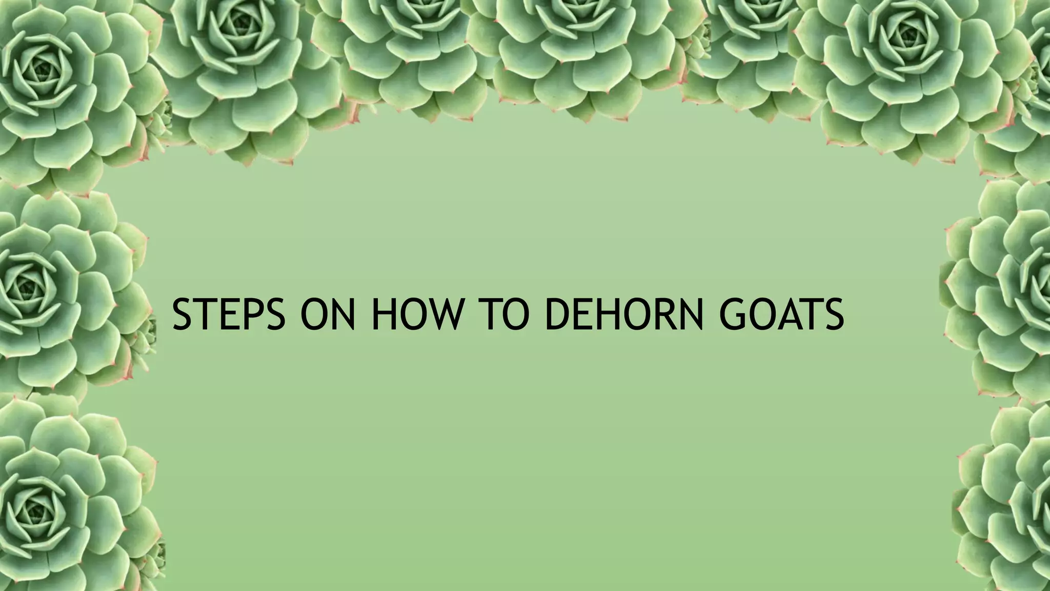 Dehorning.pptx