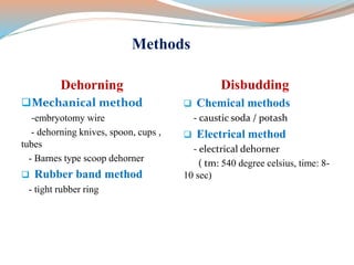 Dehorning and disbudding | PPTX