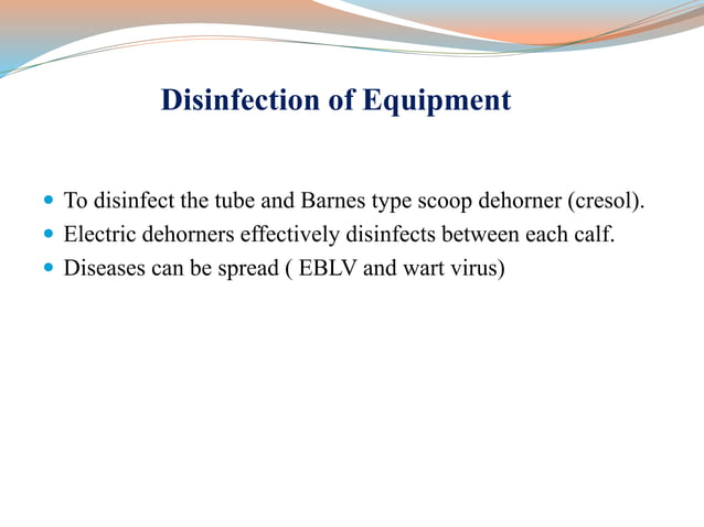 Dehorning and disbudding | PPTX | Veterinary Medicine | Pets