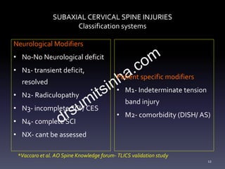 Subaxial Cervical Spine Injuries | PPTX