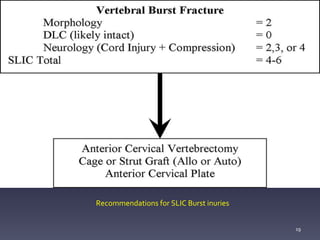 Subaxial Cervical Spine Injuries | PPTX