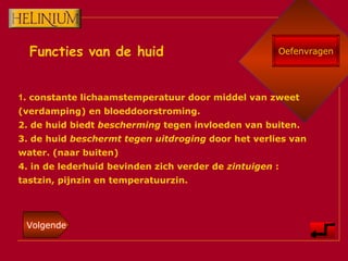 De Huid Zelfstudie | PPT