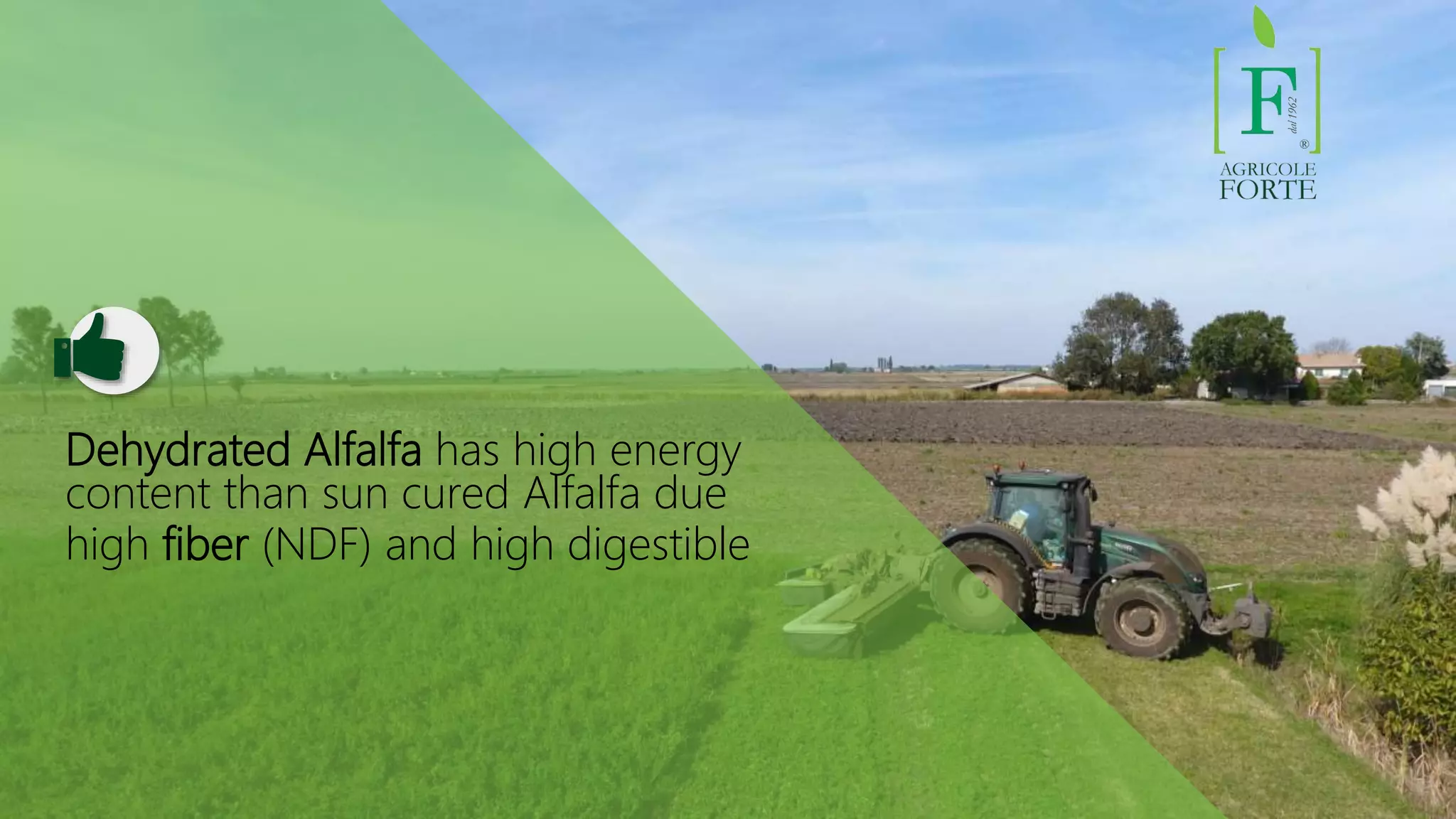 Dehydrated Alfalfa - source of high quality nutrients | PPT