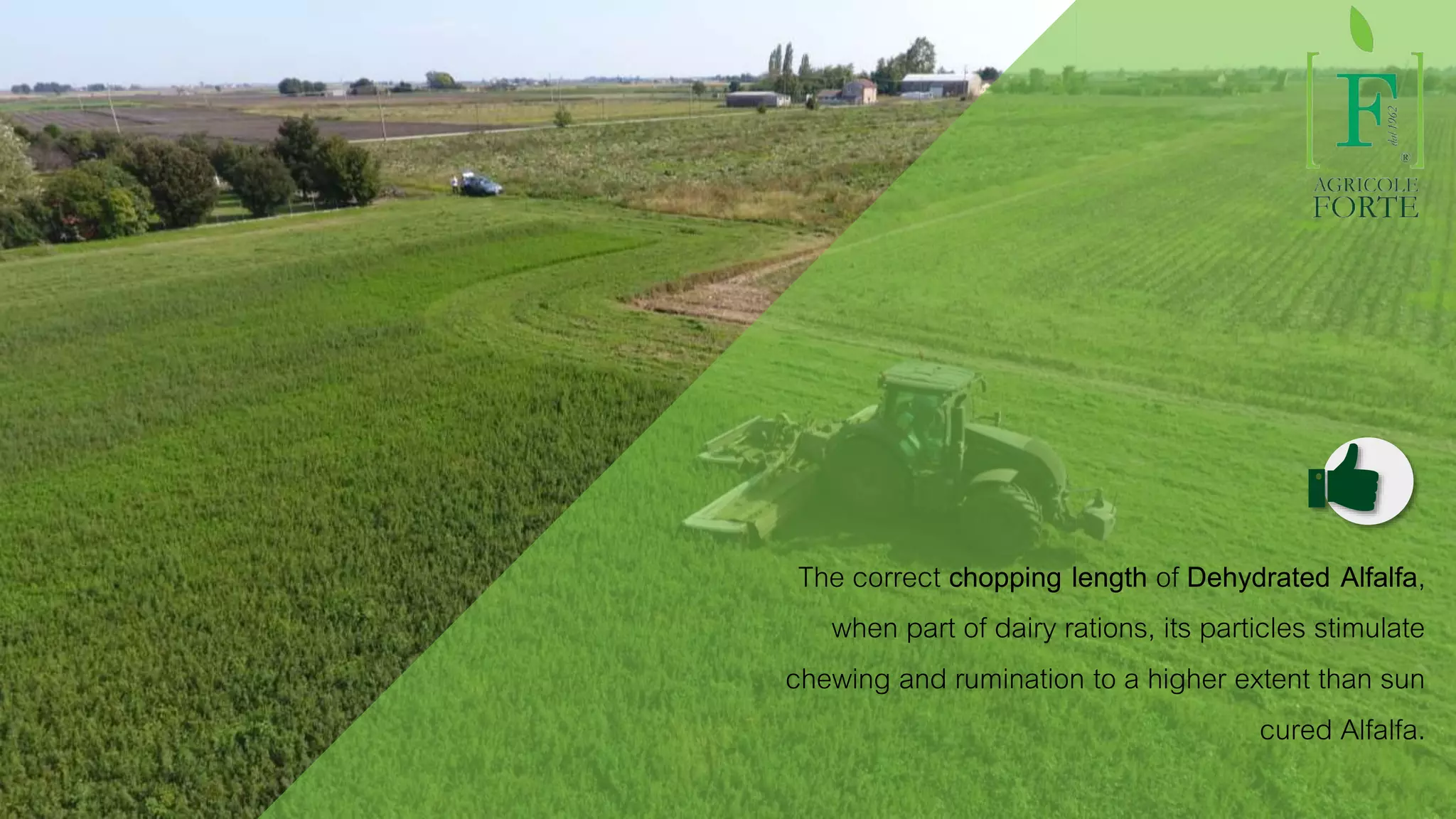 Dehydrated Alfalfa - source of high quality nutrients | PPT