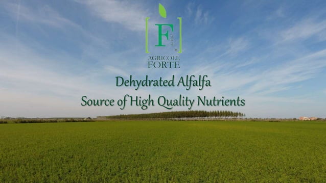 Dehydrated Alfalfa - source of high quality nutrients | PPT