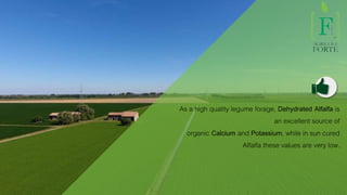 Dehydrated Alfalfa - source of high quality nutrients | PPT