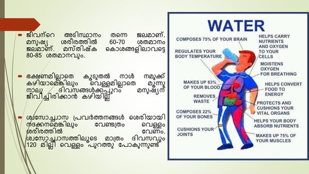 Dehydration - Basics | PPT