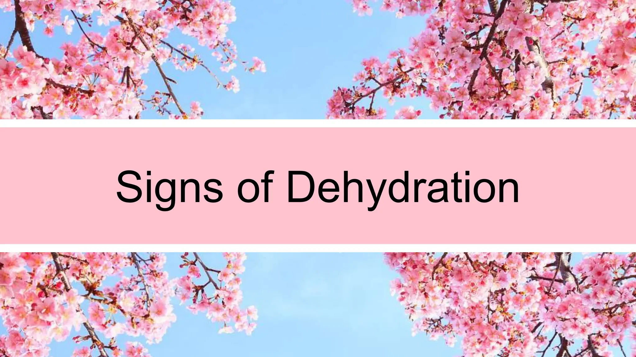dehydration.pptx