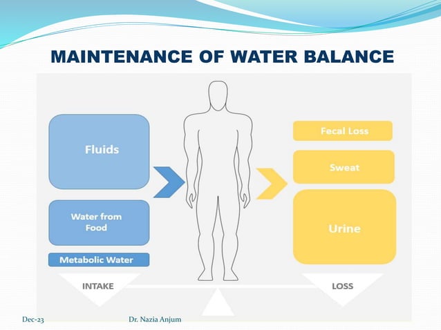 Dehydration in Children and Fluid Management (with discussion on Unani ...