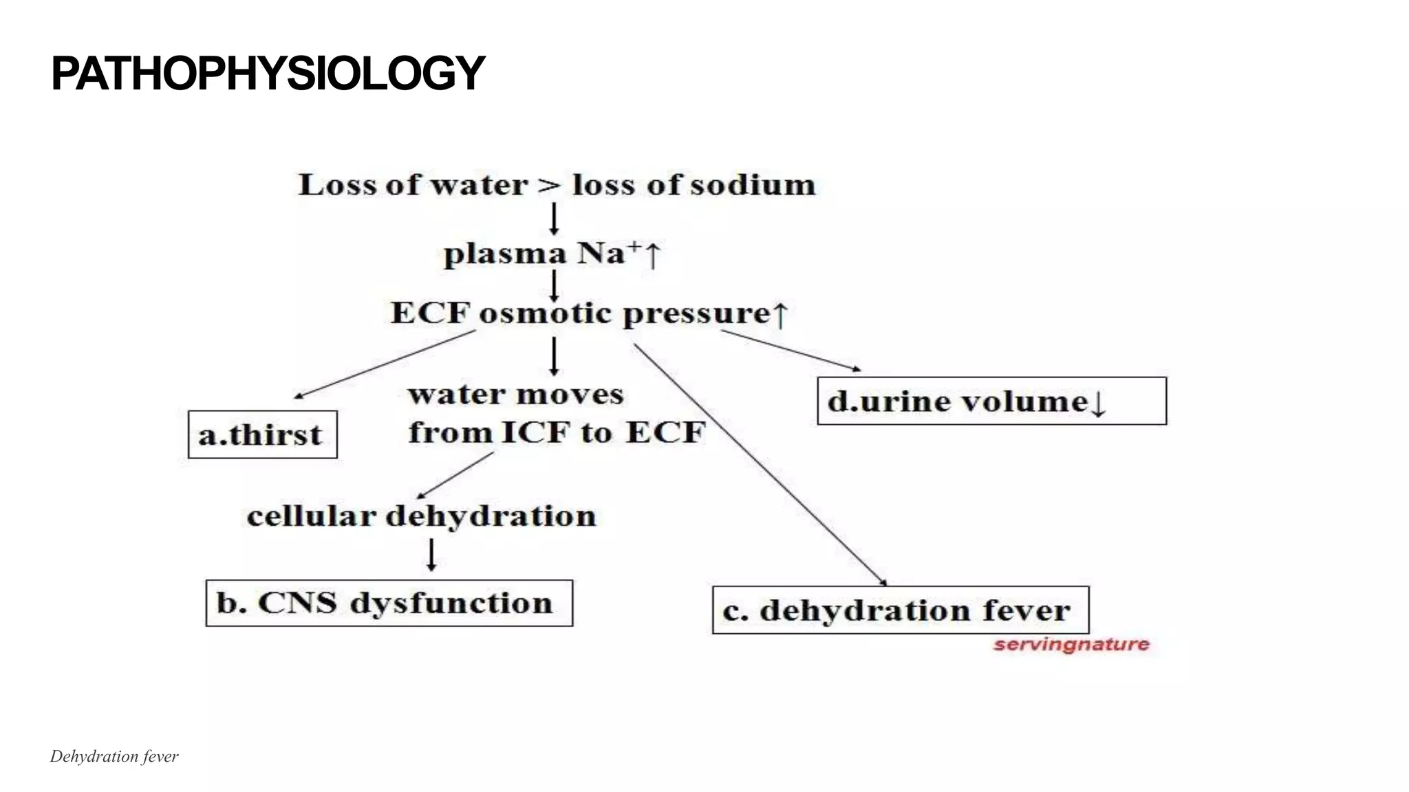 Dehydration fever in newborn | PPTX