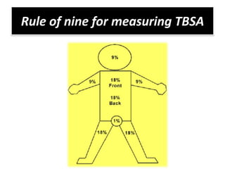 Dehydration in children | PPTX