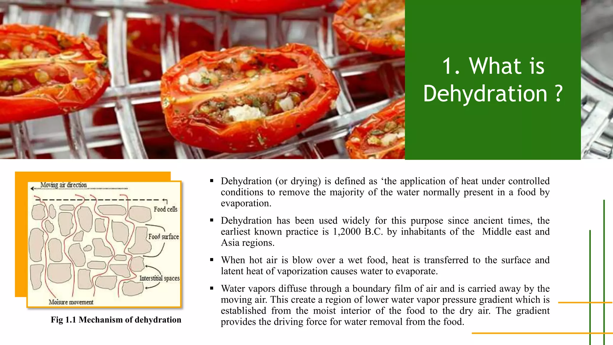 Dehydration of Fruits and Vegetables. .pptx