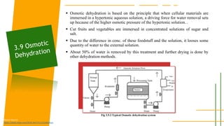 Dehydration of Fruits and Vegetables. .pptx