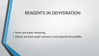 DEHYDRATION PP by Mbeng OScar rolly.pptx