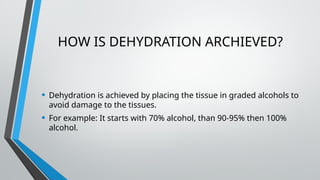 DEHYDRATION PP by Mbeng OScar rolly.pptx