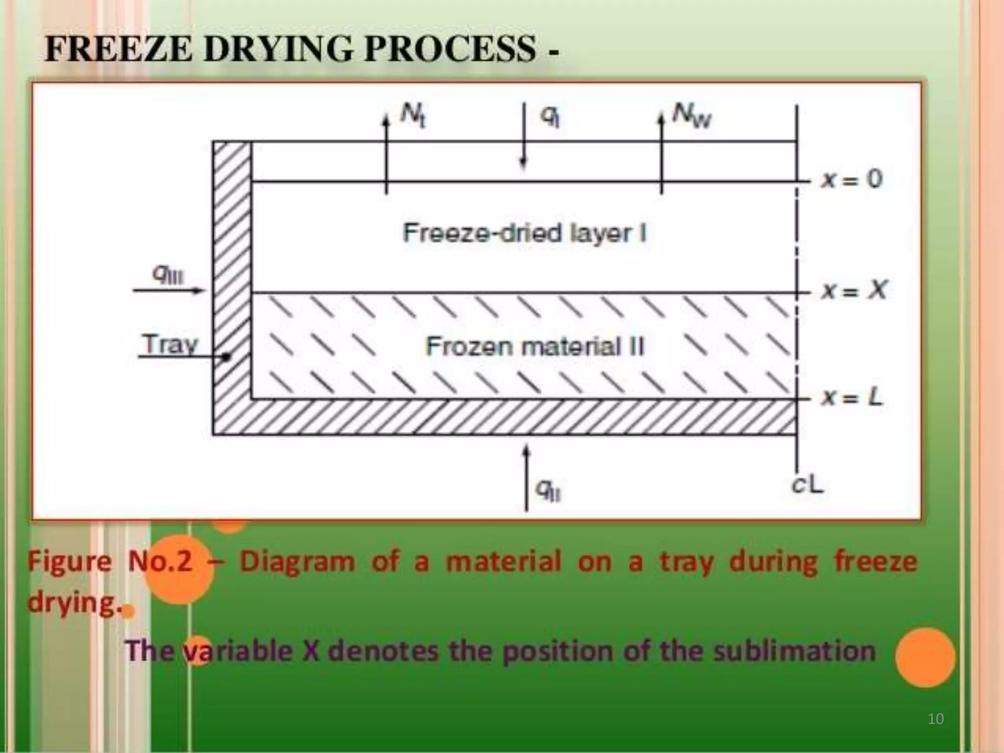 Dehydro freezing, freeze drying, IQF | PDF