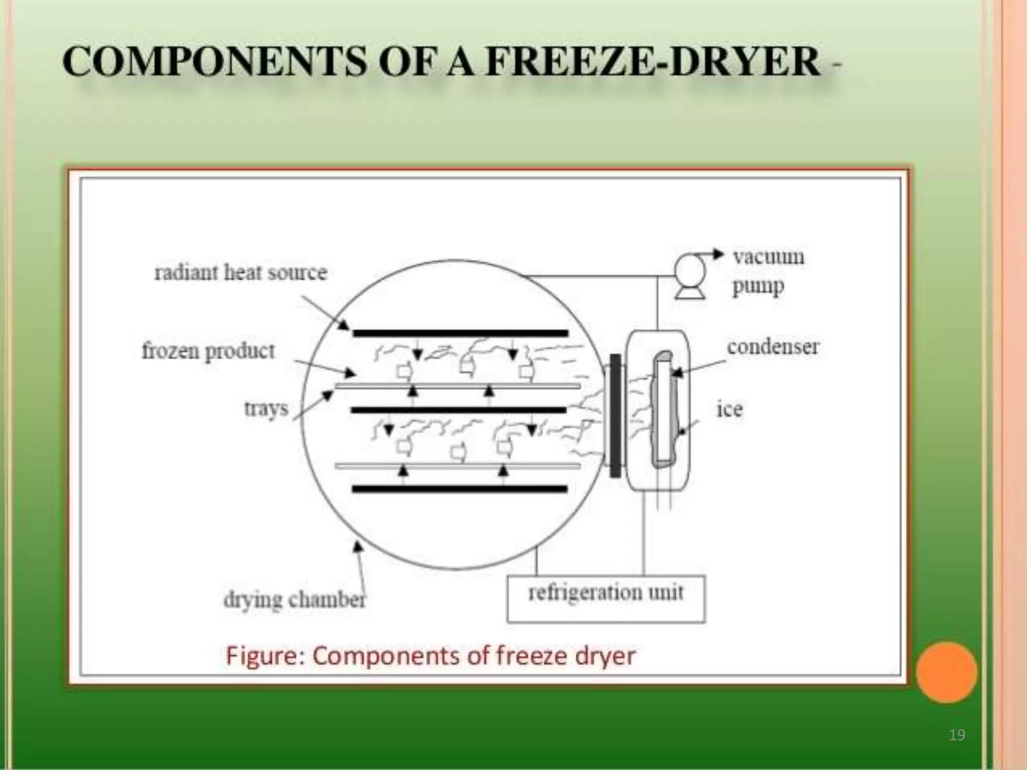 Dehydro freezing, freeze drying, IQF | PDF
