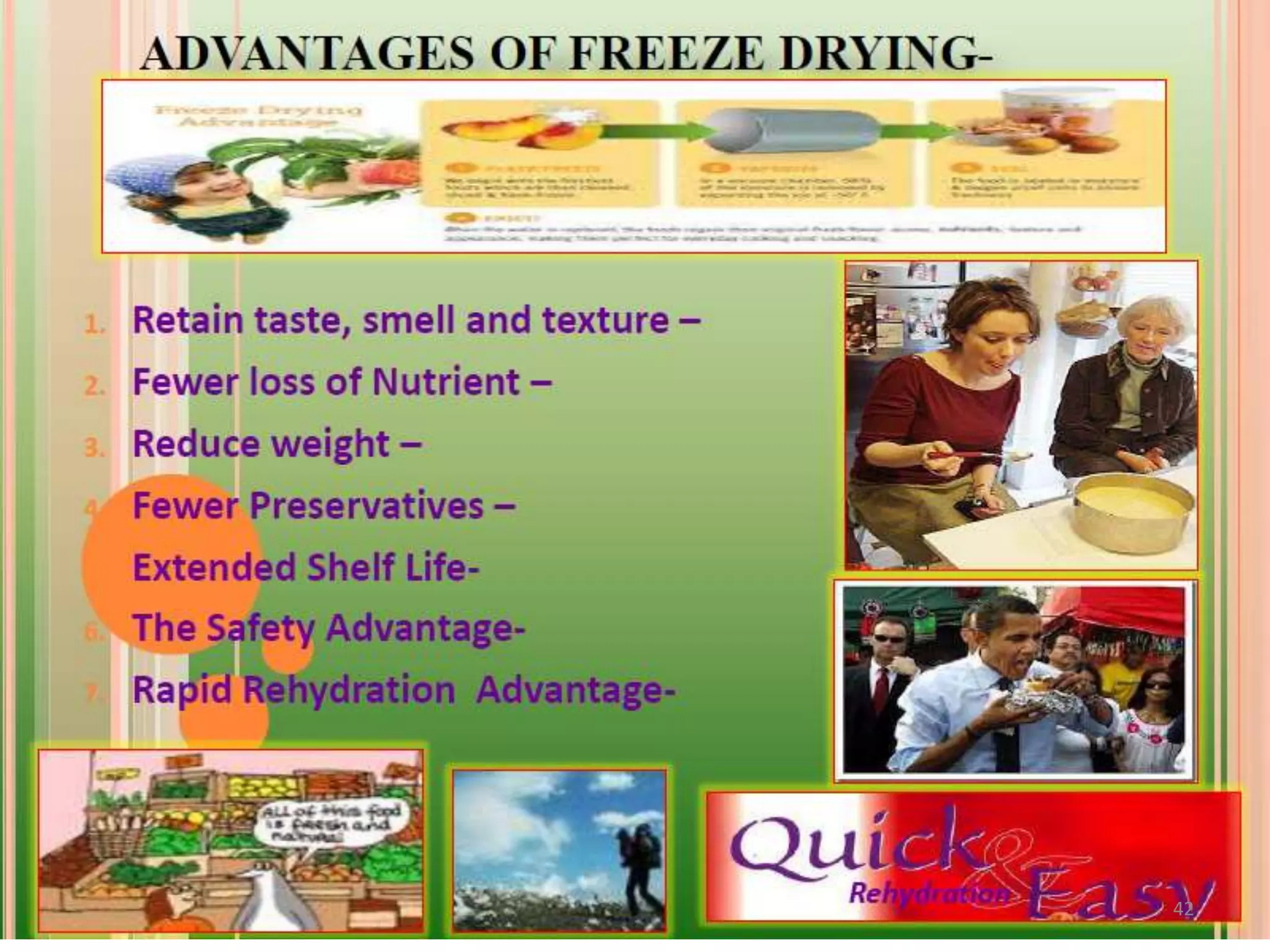 Dehydro freezing, freeze drying, IQF | PDF