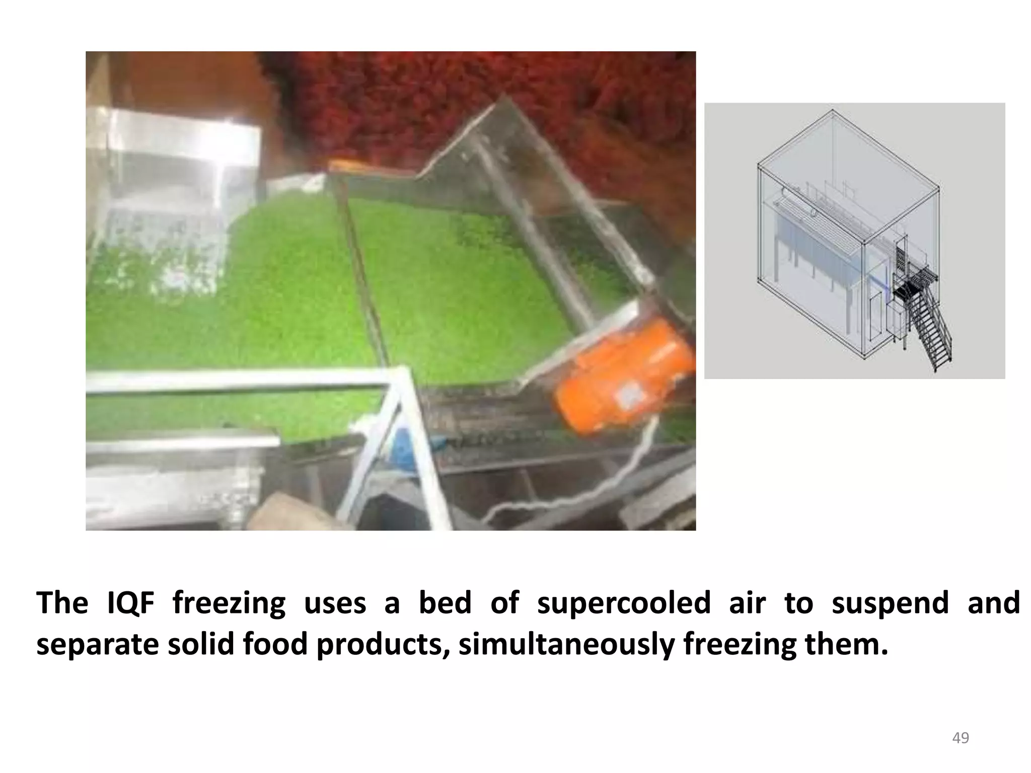Dehydro freezing, freeze drying, IQF | PDF