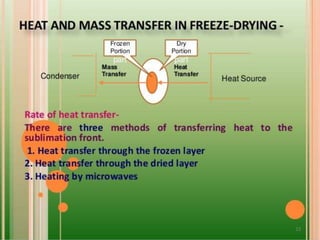 Dehydro freezing, freeze drying, IQF | PDF