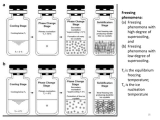 Dehydro freezing, freeze drying, IQF | PDF