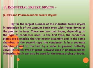 Dehydro freezing, freeze drying, IQF | PDF