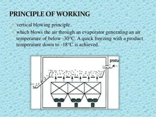 Dehydro freezing, freeze drying, IQF | PDF