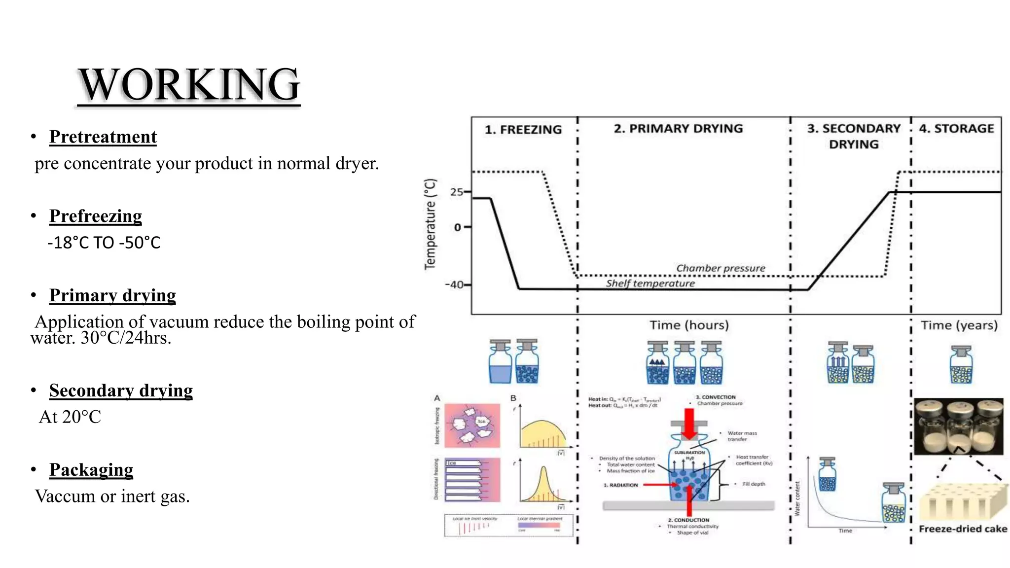 Dehydro Freezing .pptx