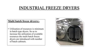 Dehydro Freezing .pptx
