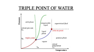 Dehydro Freezing .pptx