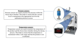 Dehydro Freezing .pptx