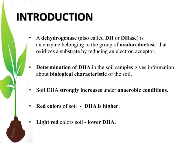 Dehydrogenase | PPTX | Chemistry | Science