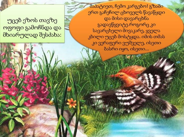 Deida kokriko | PPTX