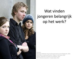 De ideale baan | PPTX