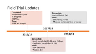 Deirdre lynch research proposal presentation | PPT