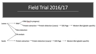 Deirdre lynch research proposal presentation | PPT
