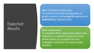 Deirdre lynch research proposal presentation | PPT
