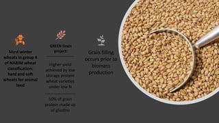 Deirdre lynch research proposal presentation | PPT