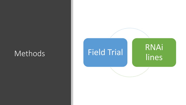 Deirdre lynch research proposal presentation | PPT