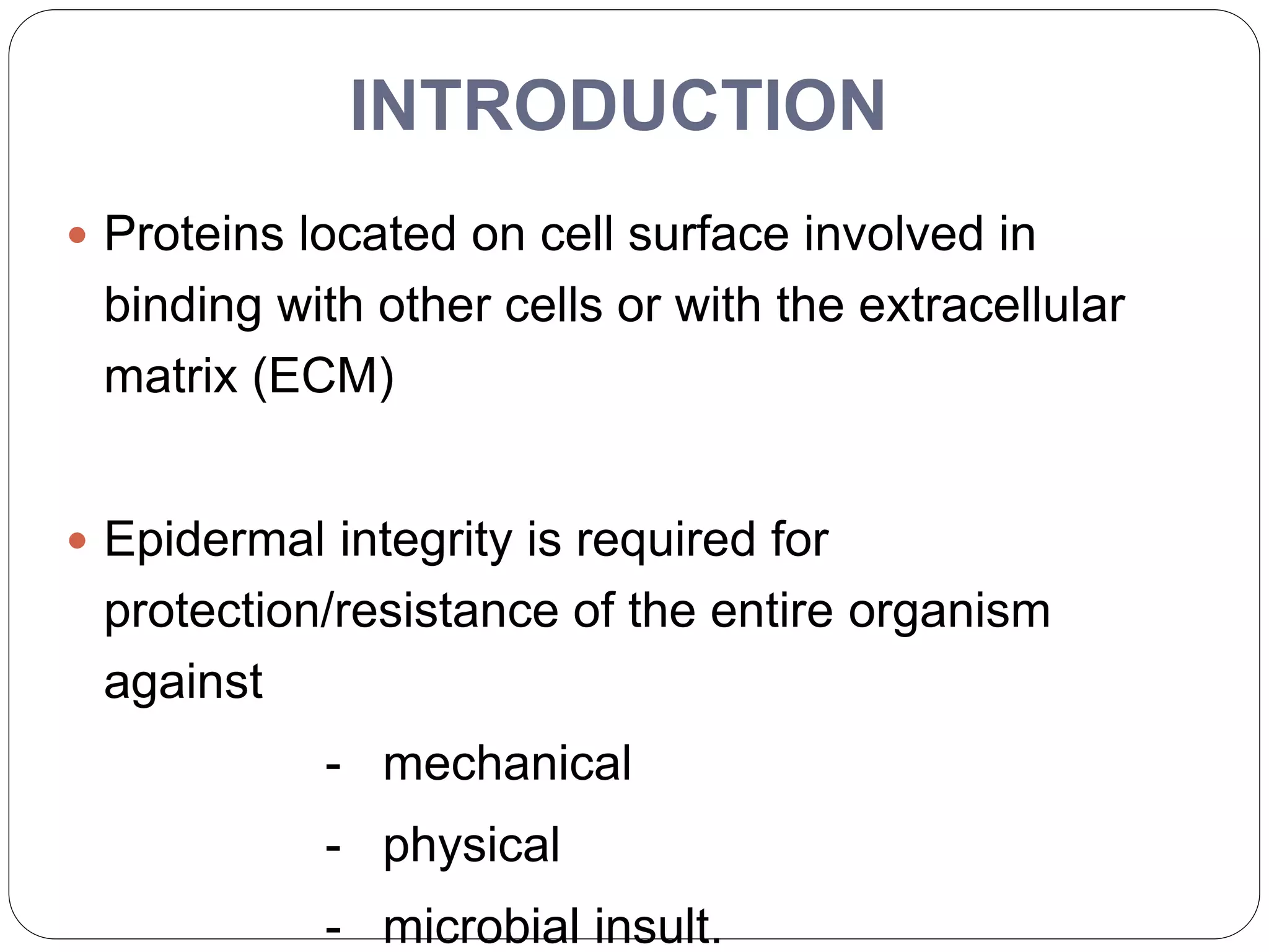 dermo epidermal junction | PPTX