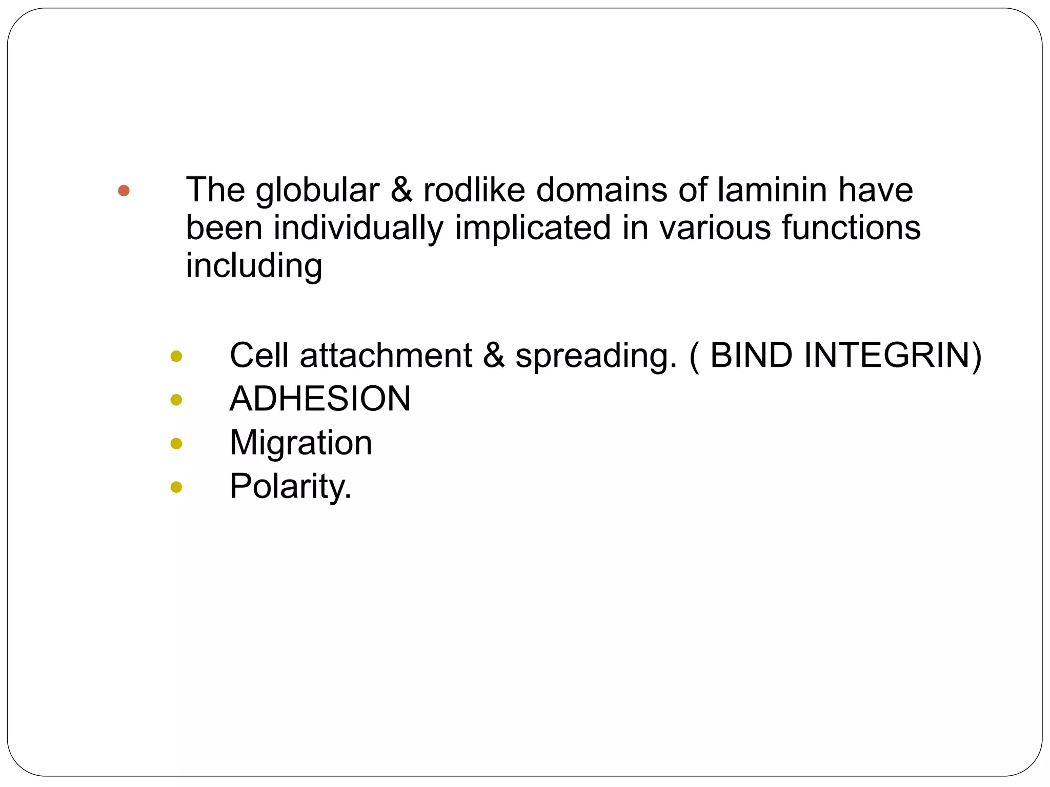 dermo epidermal junction | PPTX