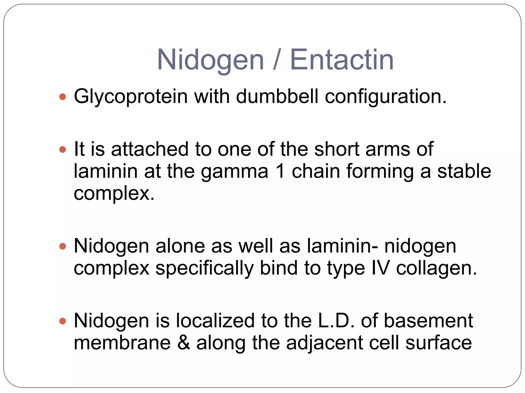dermo epidermal junction | PPTX