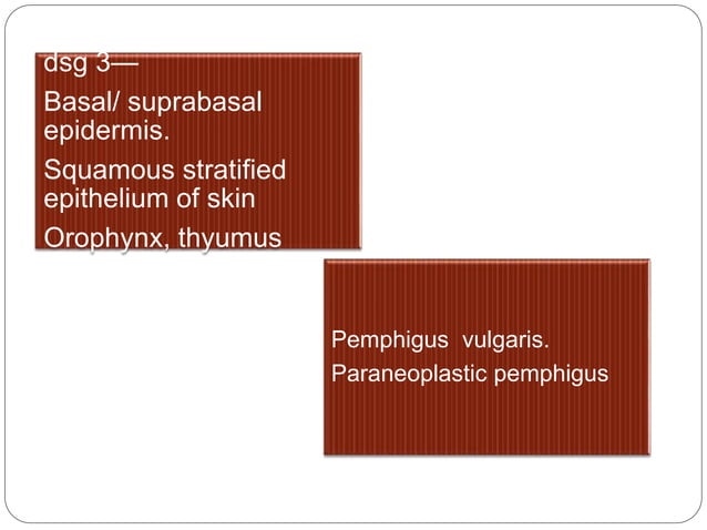 Dermo Epidermal Junction Pptx