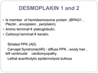 dermo epidermal junction | PPTX