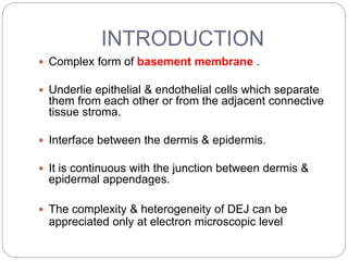 dermo epidermal junction | PPTX