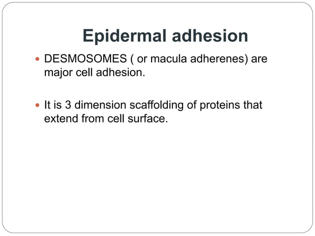 Dermo Epidermal Junction Pptx